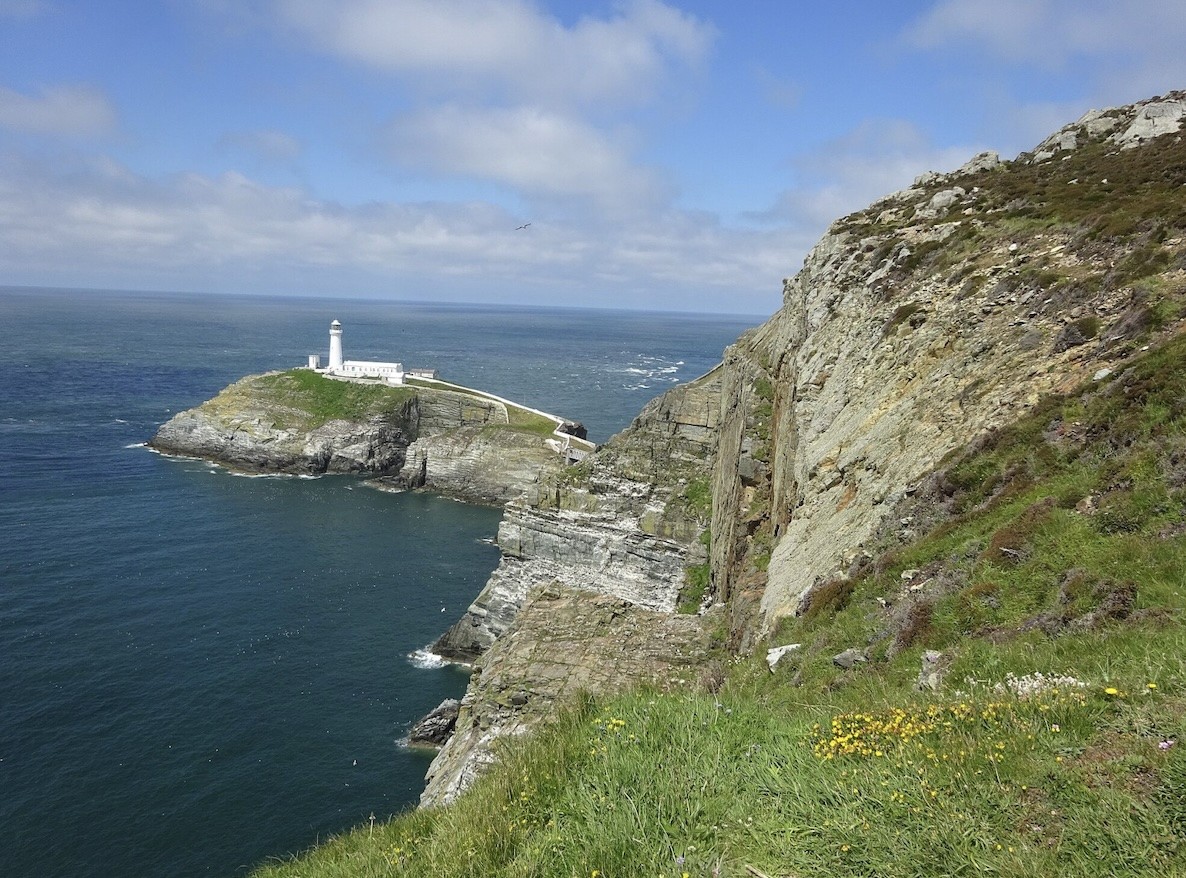 Stunning seabirds at RSPB South Stack, Holy Island, Angelsey - Wee Wild ...