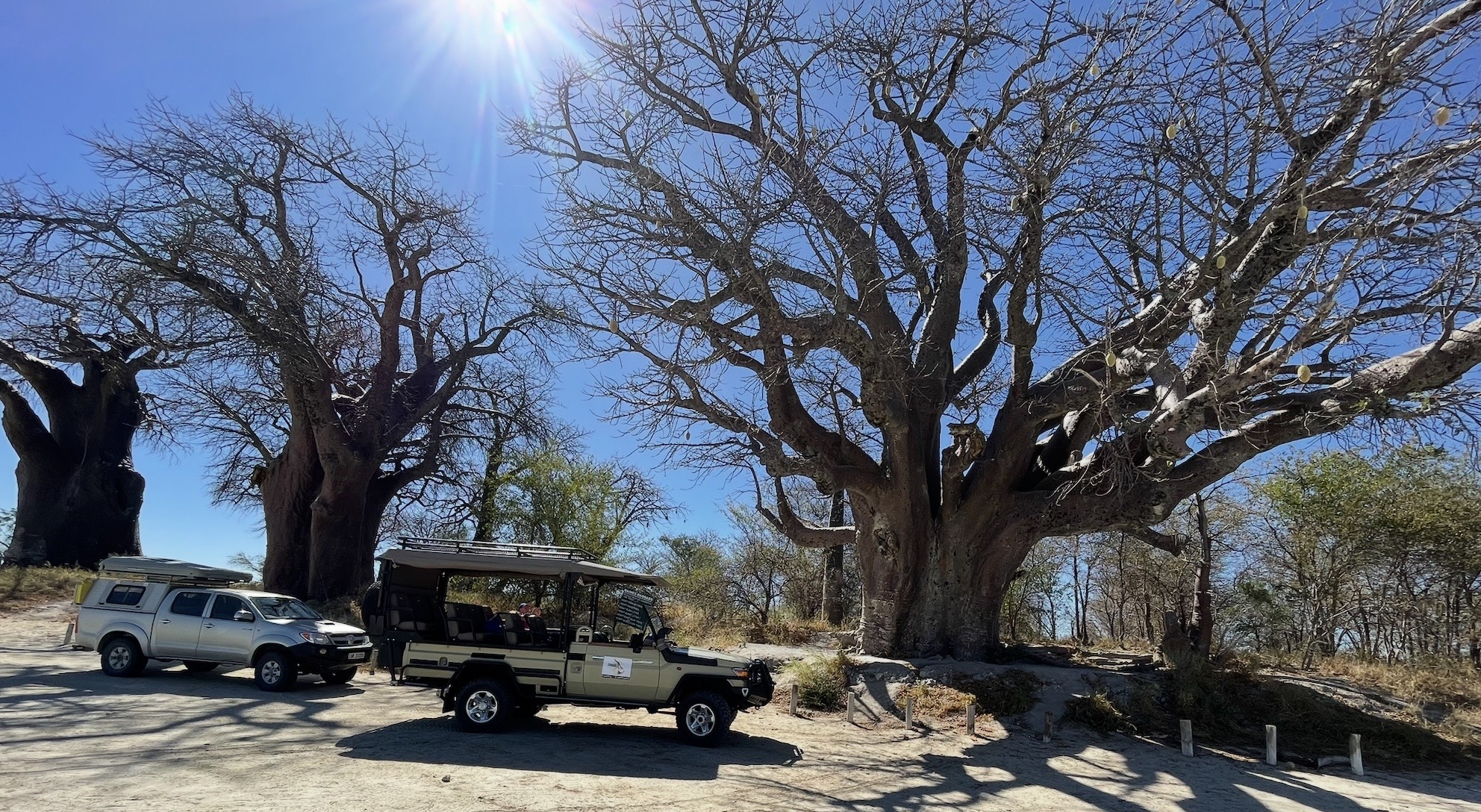 Nxai Pan National Park – Salt, Stars and Safari - Wee Wild Adventures