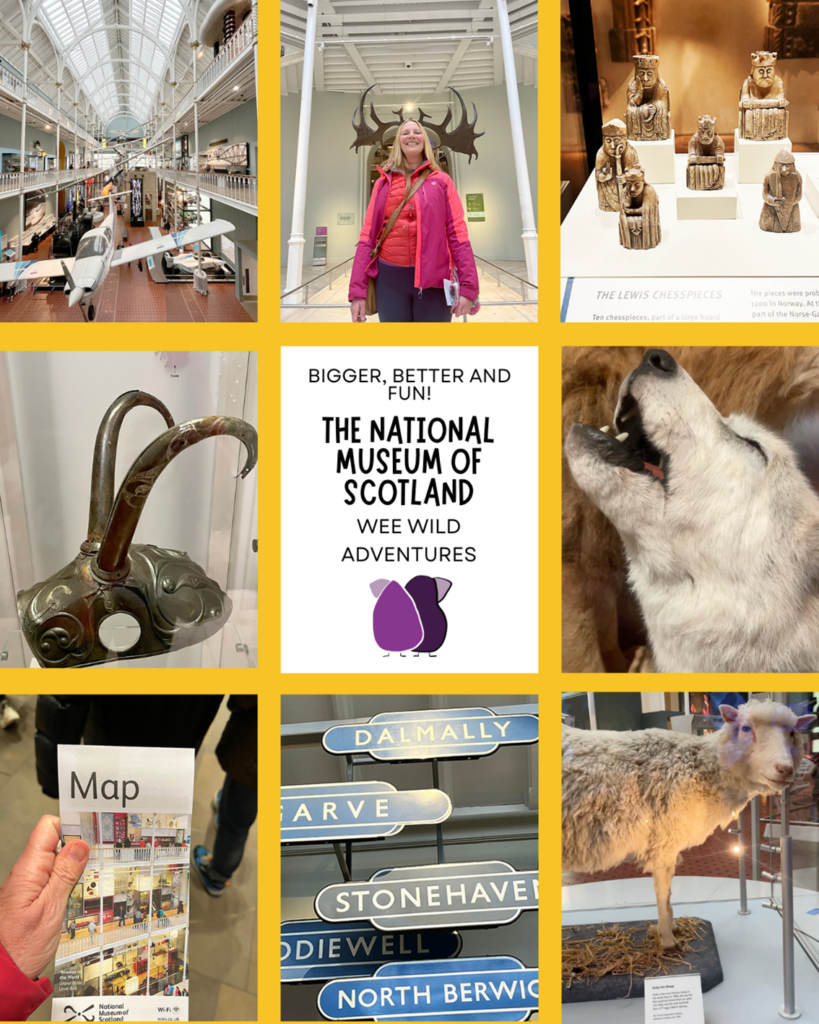 The National Museum of Scotland: Bigger, Better, and More Moving Than I ...